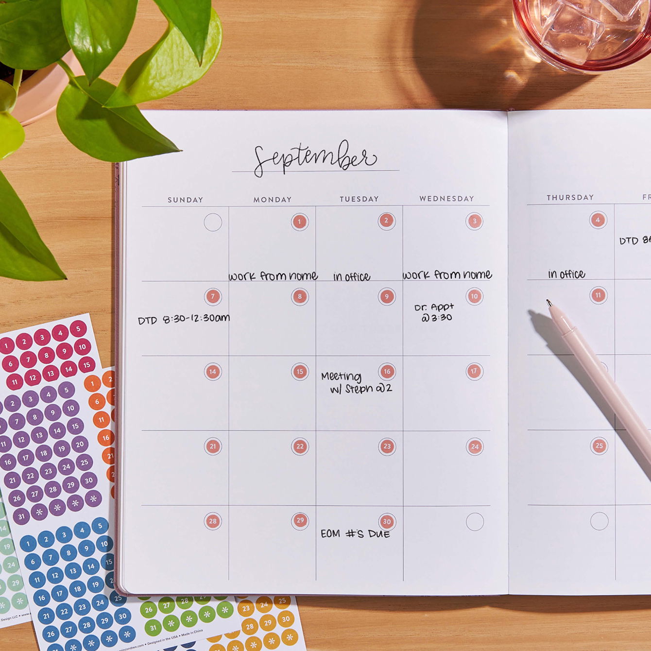 Colorful Calendar Date Dots | Erin Condren