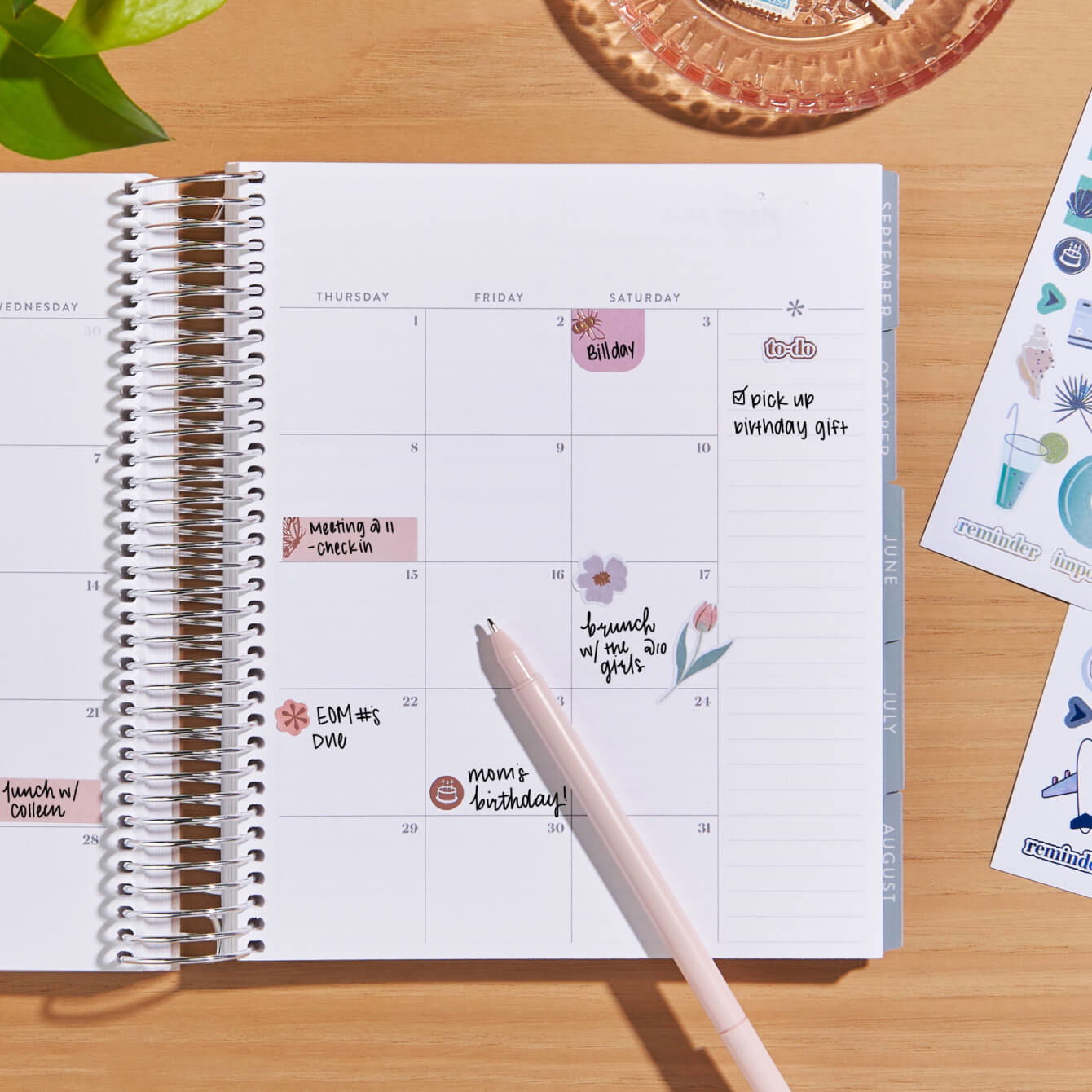 Monthly Sticker Book Edition 10 | Erin Condren