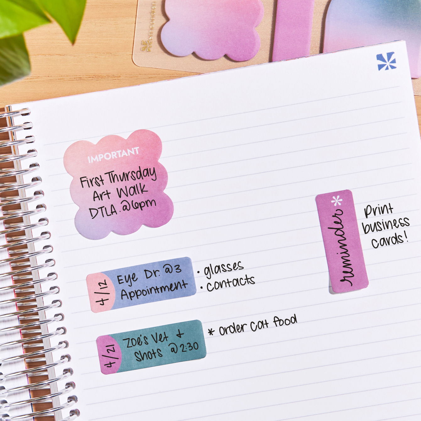 Cream Snap-In Vegan Leather Notebook Bundle | Erin Condren