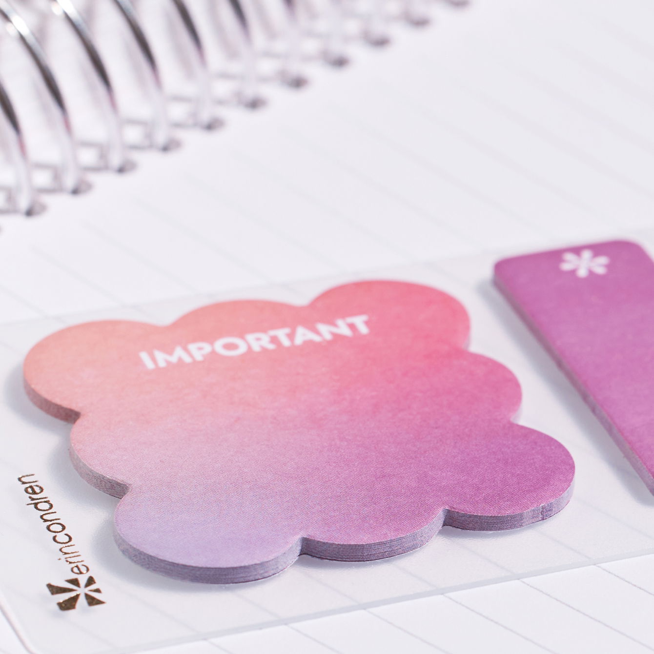 Cream Snap-In Vegan Leather Notebook Bundle | Erin Condren