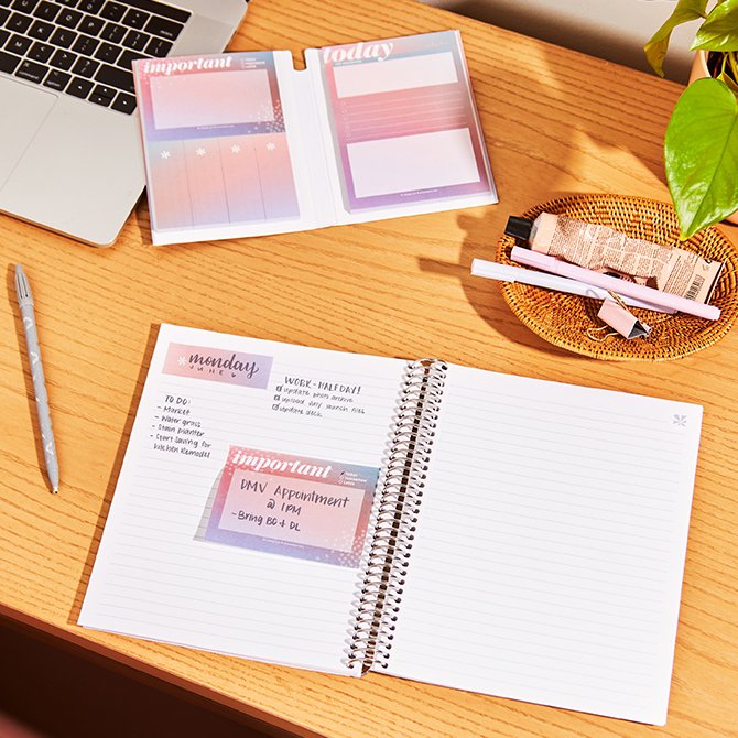 Daily Priorities Sticky Notes Booklet | Erin Condren