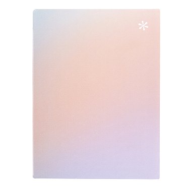 Daily Priorities Sticky Notes Booklet | Erin Condren