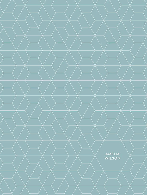 Minimal Hexagon Covers | Erin Condren