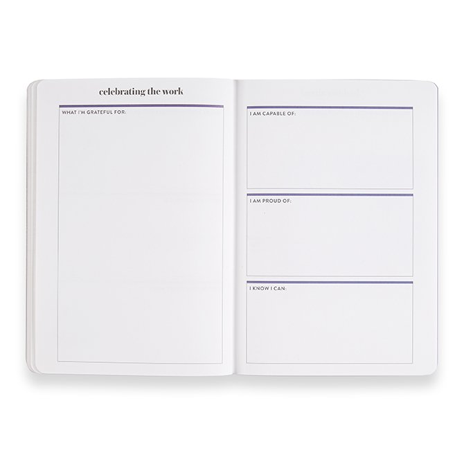 Watercolor Stripes PetitePlanner Goal Setting Journal | Erin Condren