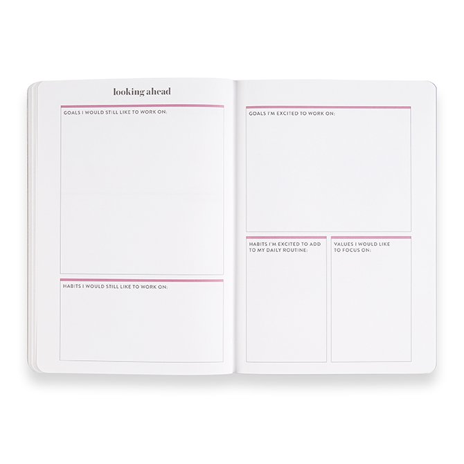 Watercolor Stripes PetitePlanner Goal Setting Journal | Erin Condren