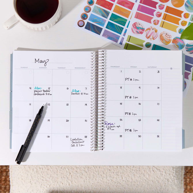 Parallel Appointment Book | Erin Condren
