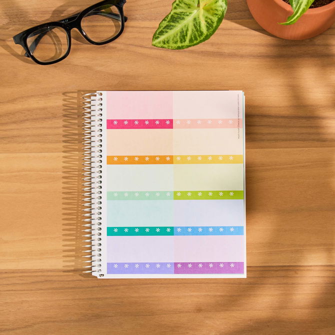 Multifaceted Brain Dump Notebook | Erin Condren