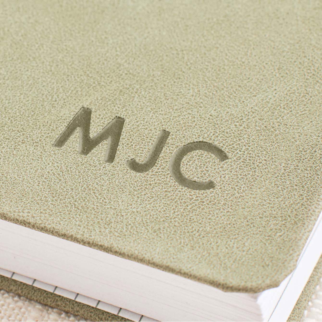 Basil Vegan Leather Focused Notebook™ | Erin Condren.
