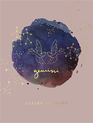 Metallic Watercolor Astrology Covers | Erin Condren