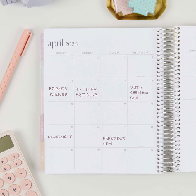 Healthcare Chic Academic Planner | Erin Condren