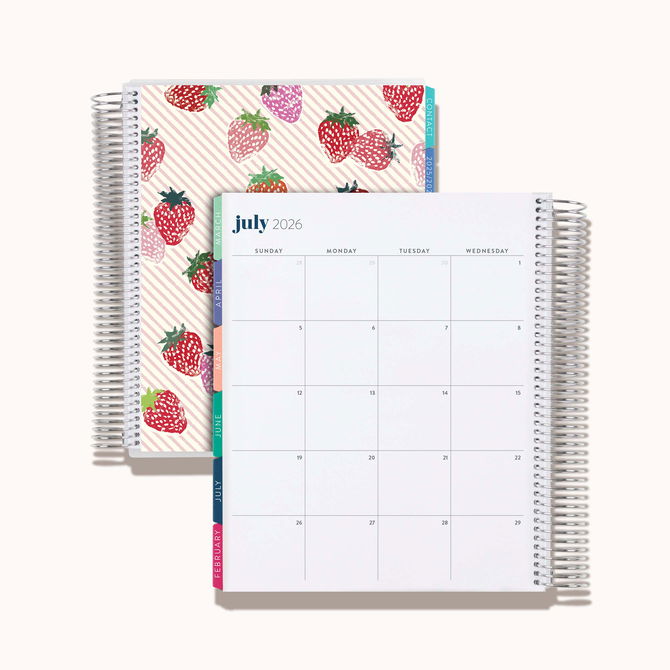 Fruity Teacher Lesson Planner | Erin Condren