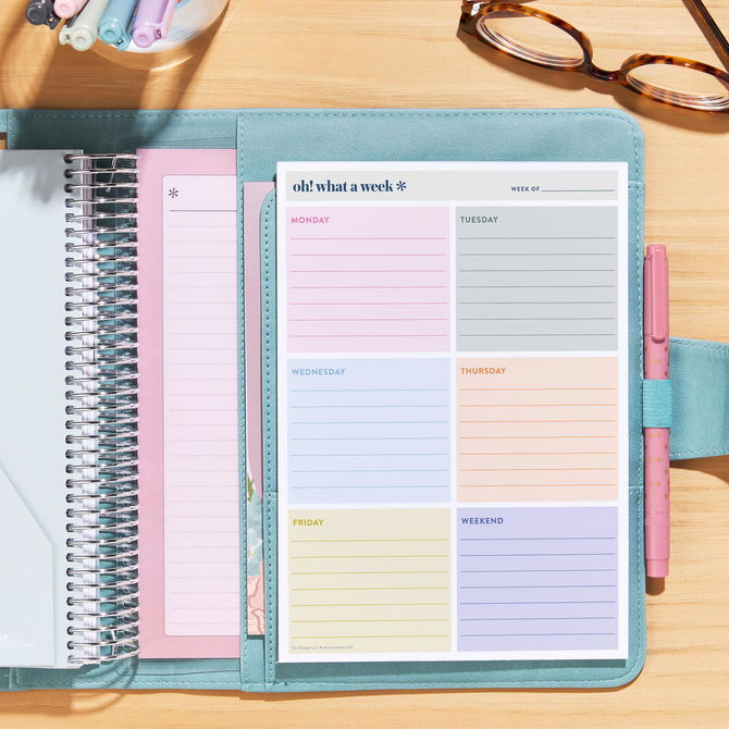 Eucalyptus Clear Planner Folio | Erin Condren