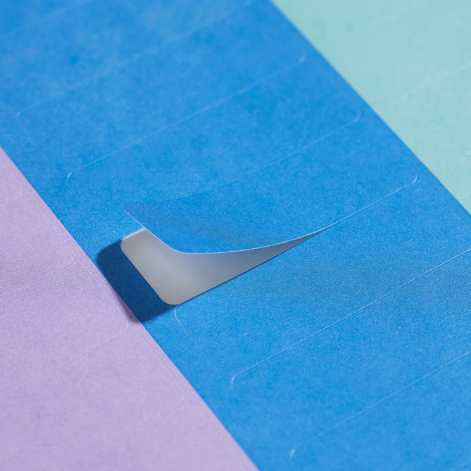 Colorful Customizable Event Stickers | Erin Condren