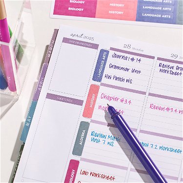 Stickers, Sticker Books & Washi Tape - Erin Condren