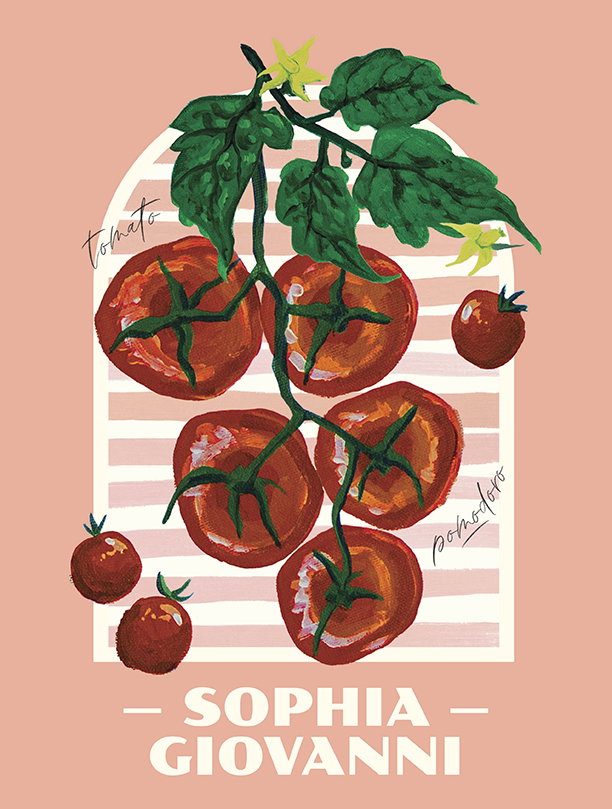 Mediterranean Covers | Erin Condren