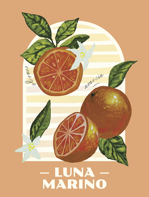 Mediterranean Covers | Erin Condren