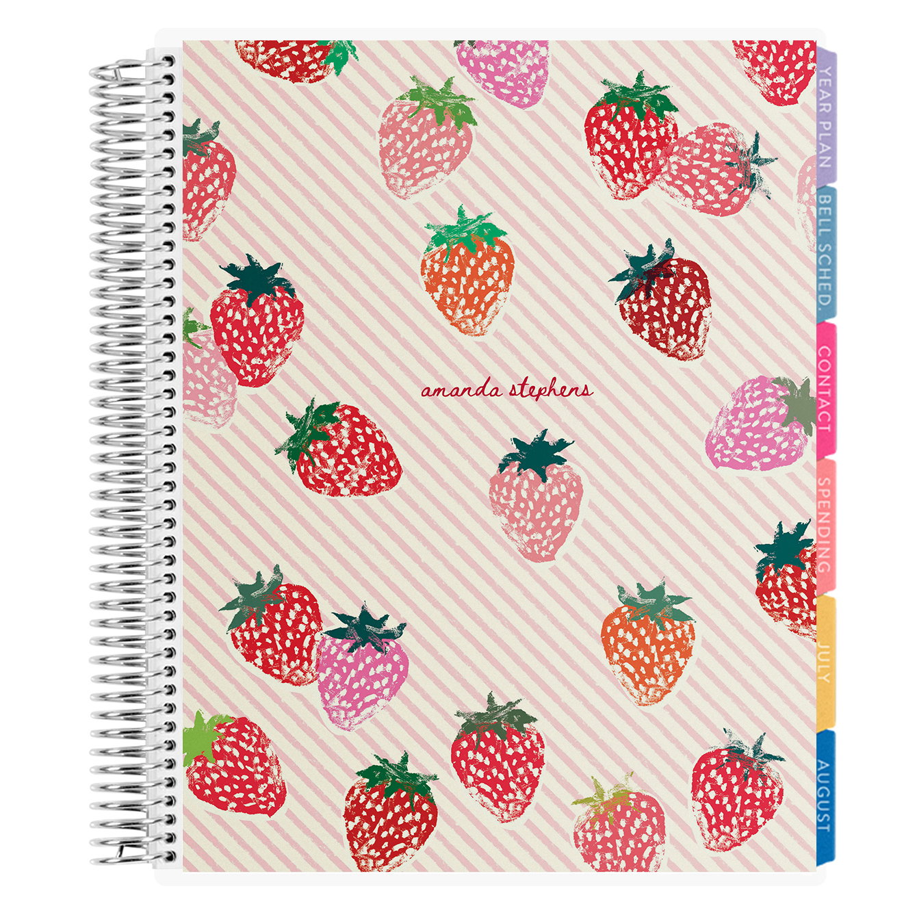 Fruity Teacher Lesson Planner | Erin Condren