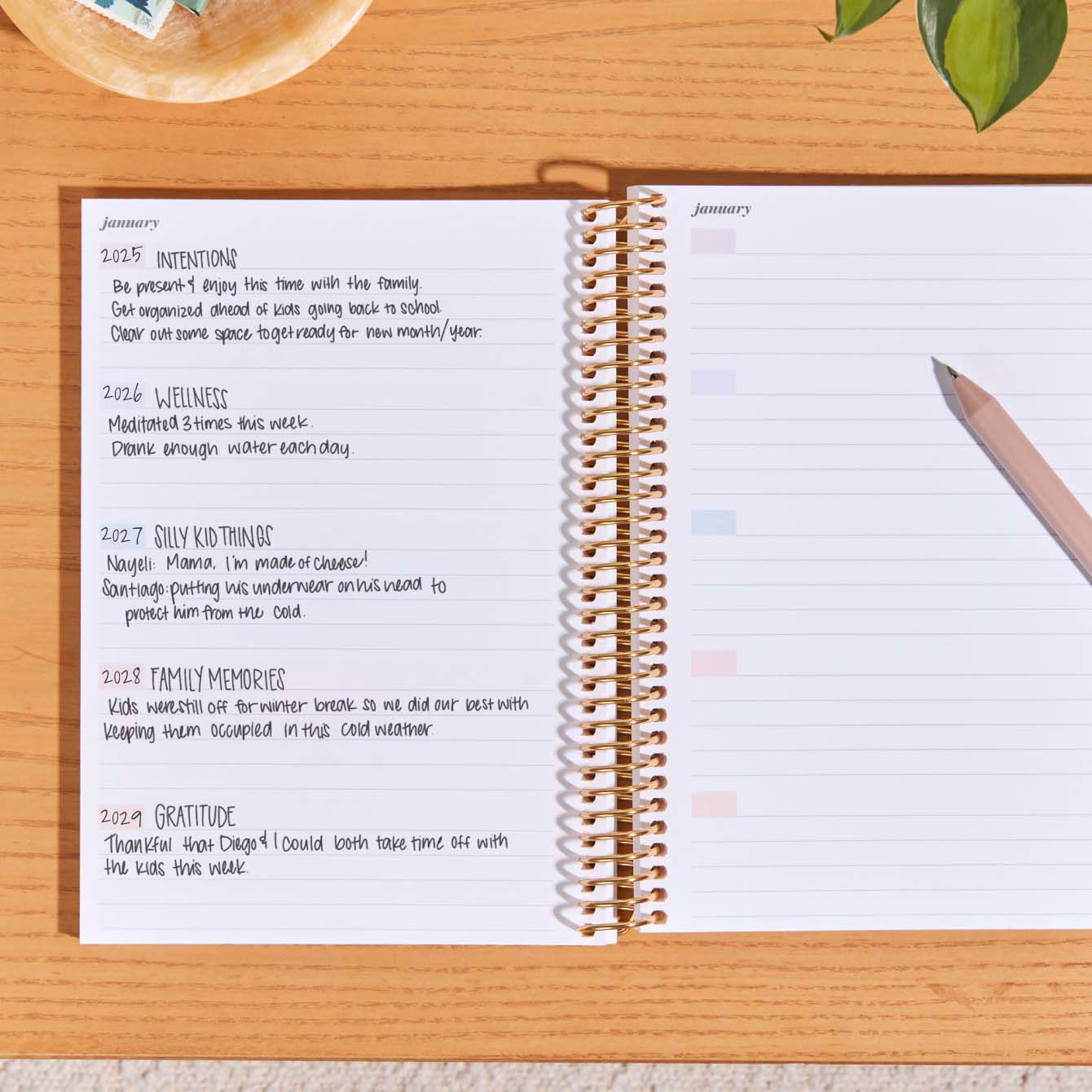 A5 Line a Week Journal | Erin Condren