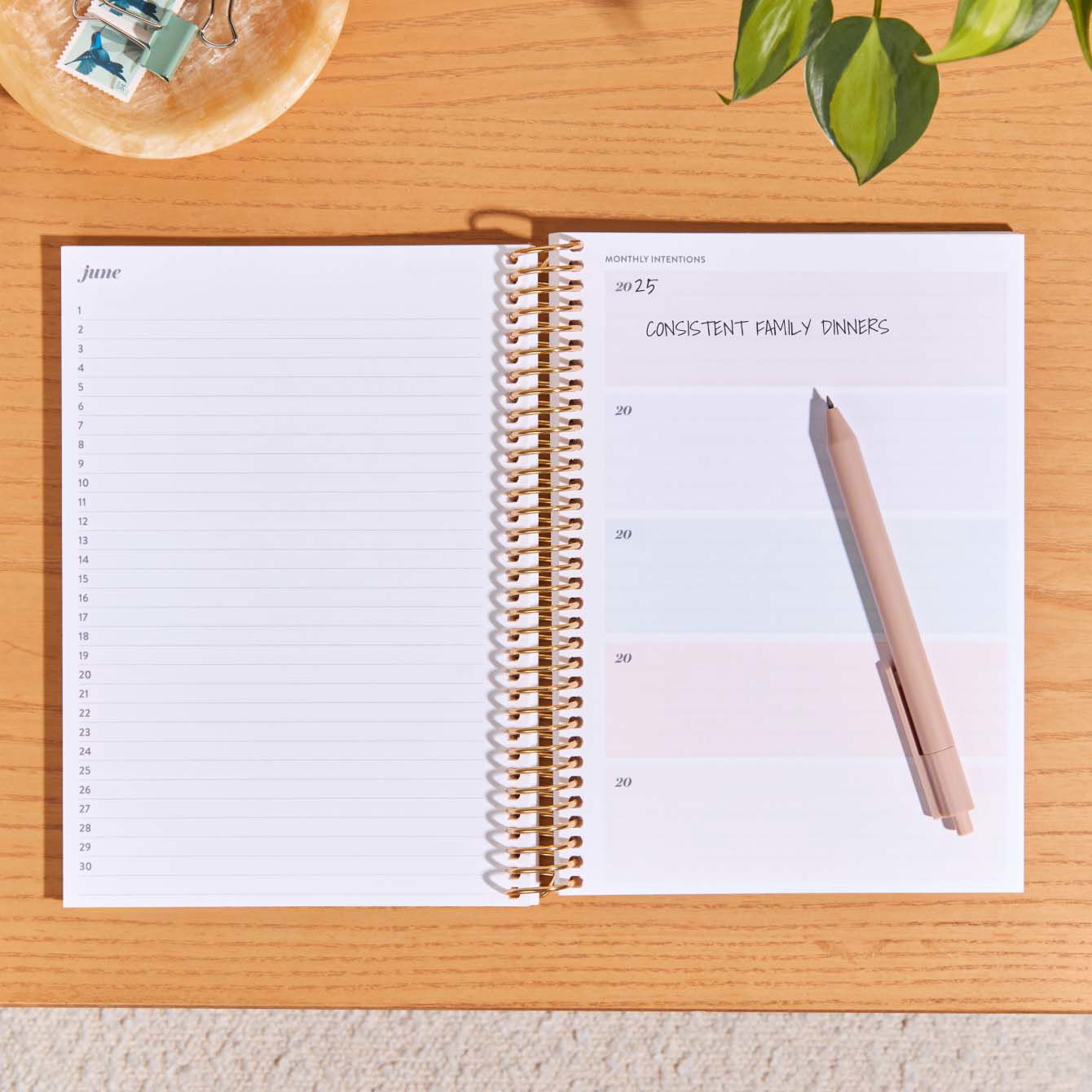 A5 Line a Week Journal | Erin Condren