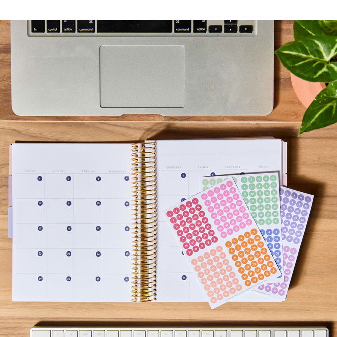 Colorful Calendar Date Dots | Erin Condren