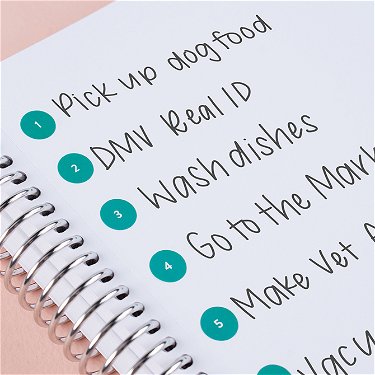 Colorful Date Dots | Erin Condren