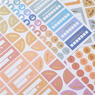 Budget Functional Sticker Book | Erin Condren