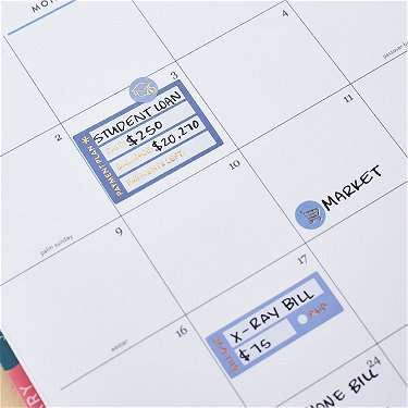 Budget Functional Sticker Book | Erin Condren