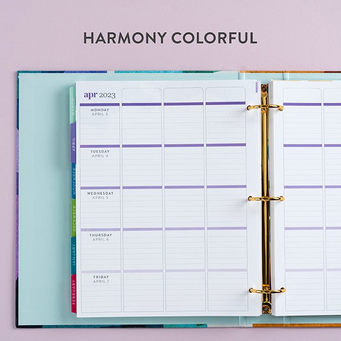 Harmony Colorful Teacher Lesson Planner Binder | Erin Condren