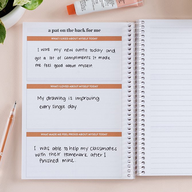 Daisy Dream Middle School Diary | Erin Condren