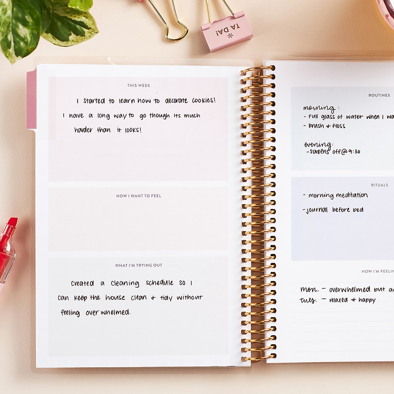 A5 Daily Routines and Rituals Journal and Notebook | Erin Condren