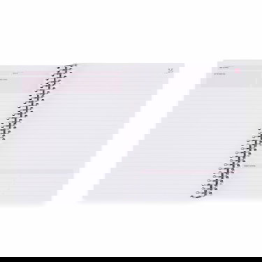 Evolve Meeting Notebook | Erin Condren