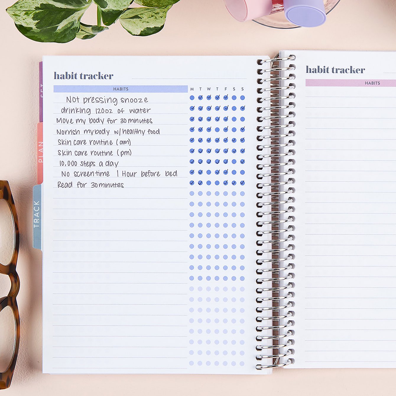 A5 Productivity Planner Tracker | Erin Condren