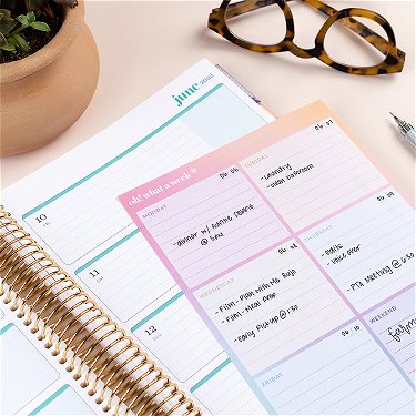Oh! What A Week Planning Notepad | Erin Condren