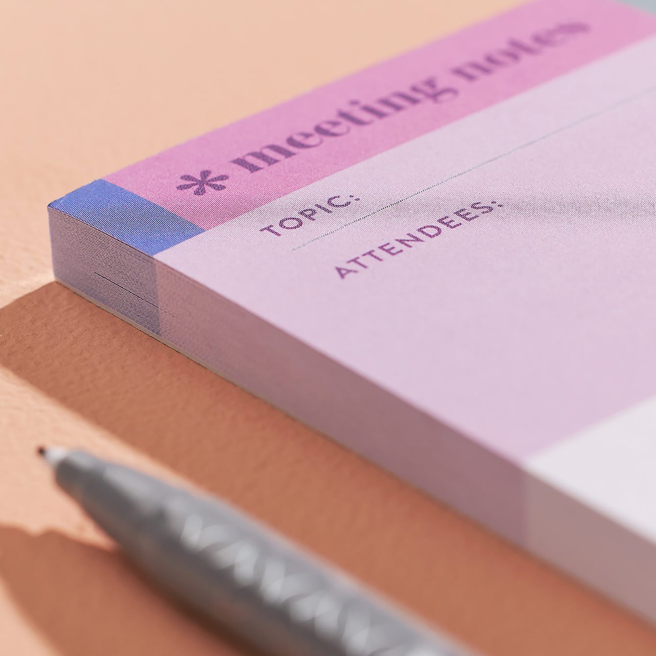 Meeting Notes Notepad | Erin Condren