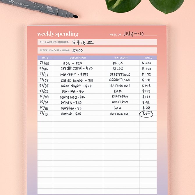 Weekly Budget Tracker Notepad | Erin Condren